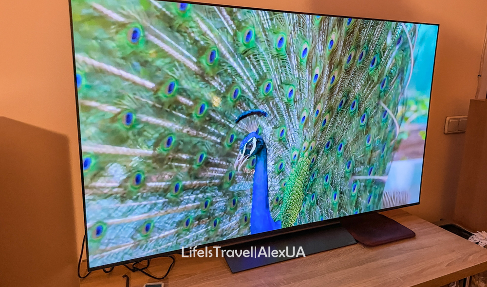 Which TV is Better and What I Chose